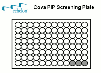 COVA PIP Screening Plate - Echelon Biosciences