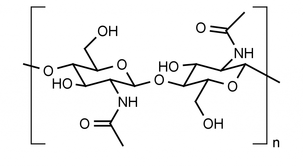 Chitin Polymer - Echelon Biosciences