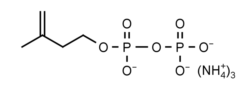 Isopentenyl Diphosphate (IPP) - Echelon Biosciences