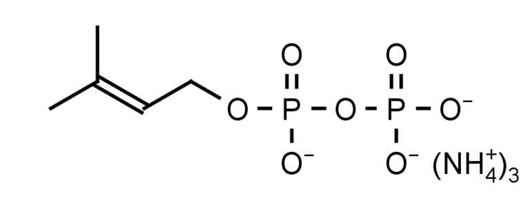 Dimethylallyl Diphosphate (DMAPP) - Echelon Biosciences