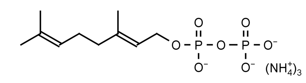 Geranyl Diphosphate (GPP) - Echelon Biosciences