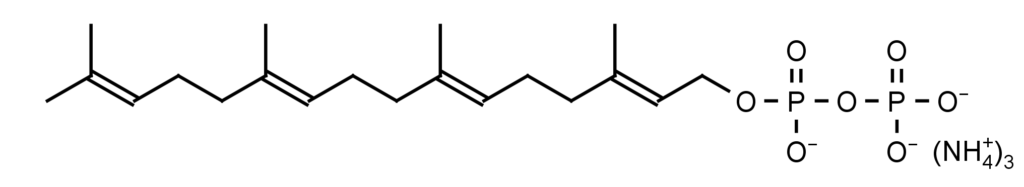 Geranylgeranyl Diphosphate (GGPP) - Echelon Biosciences