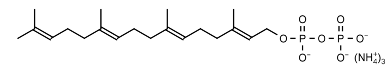 Geranylgeranyl Diphosphate (GGPP) - Echelon Biosciences