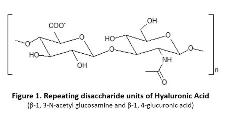 How to Determine Hyaluronic Acid Molecular Weight Using Gel ...