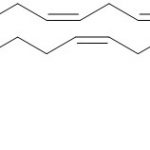 DLin-MC3-DMA - Echelon Biosciences