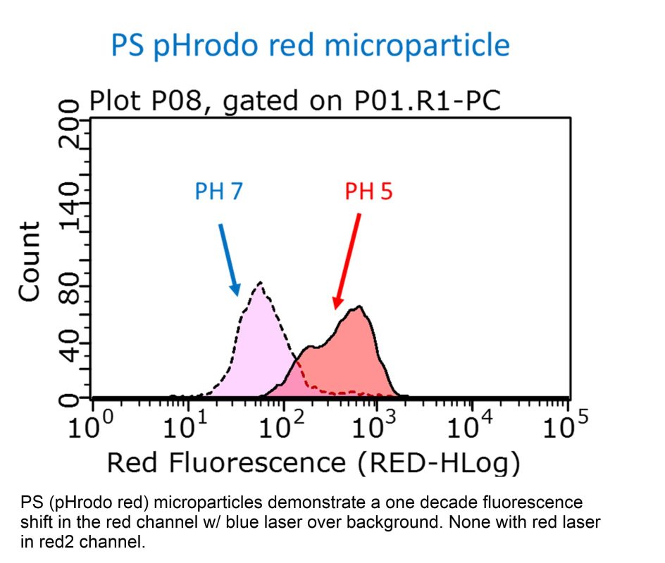 PS Lipid Microparticles, pHrodoTM Red - Echelon Biosciences